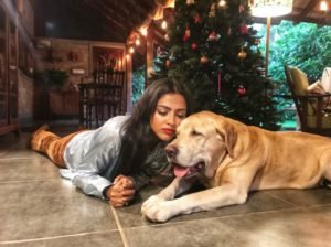 Amala Paul Biography, Age, Wiki, Caste, Height, Affairs, Rumors |Biowiki